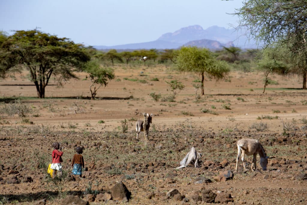 Il cambiamento climatico affama il mondo: 750 milioni di persone senza ...